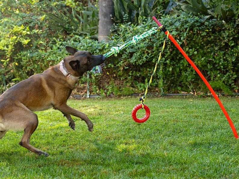 Belgian Malinois Heavy Duty Dog Toy, Durable Dog Rope Tug Toy, Agility ...