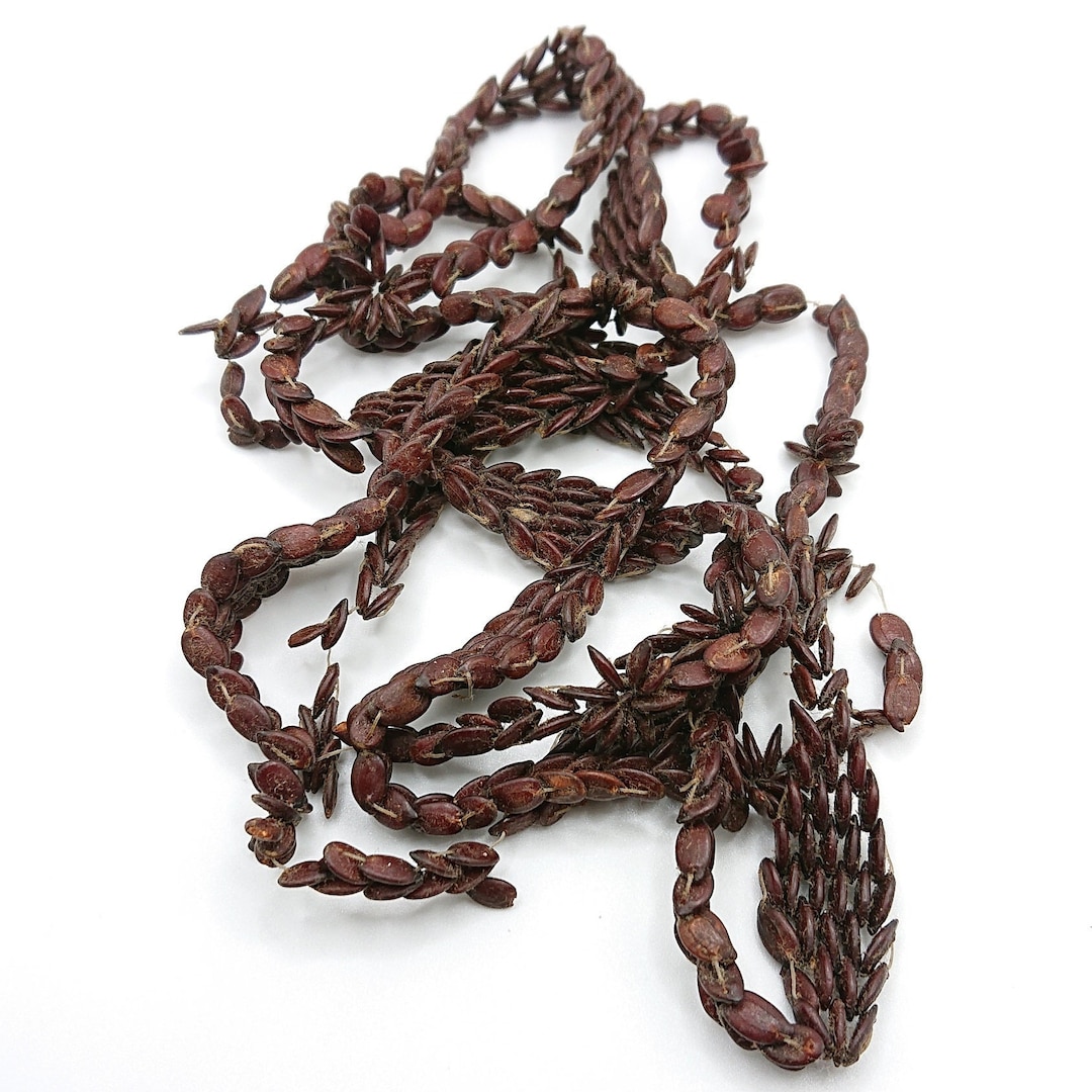 Vintage Hawaian Natural Koa Seed Necklace - Etsy