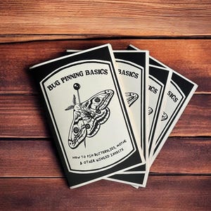 Bug Pinning Basics Zine - Insect Pinning Entomology How to Booklet for ...