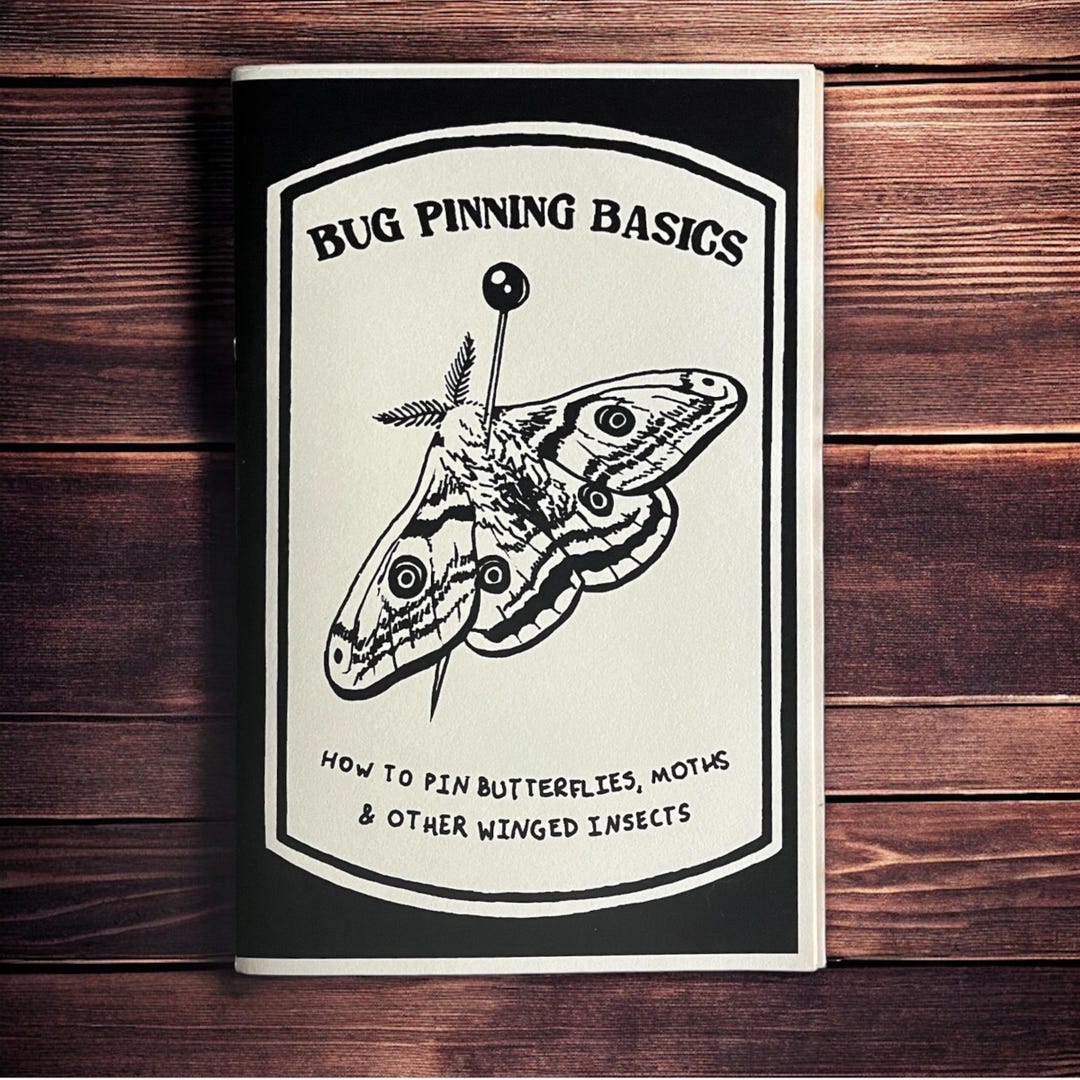 Bug Pinning Basics Zine - Insect Pinning Entomology How to Booklet for ...