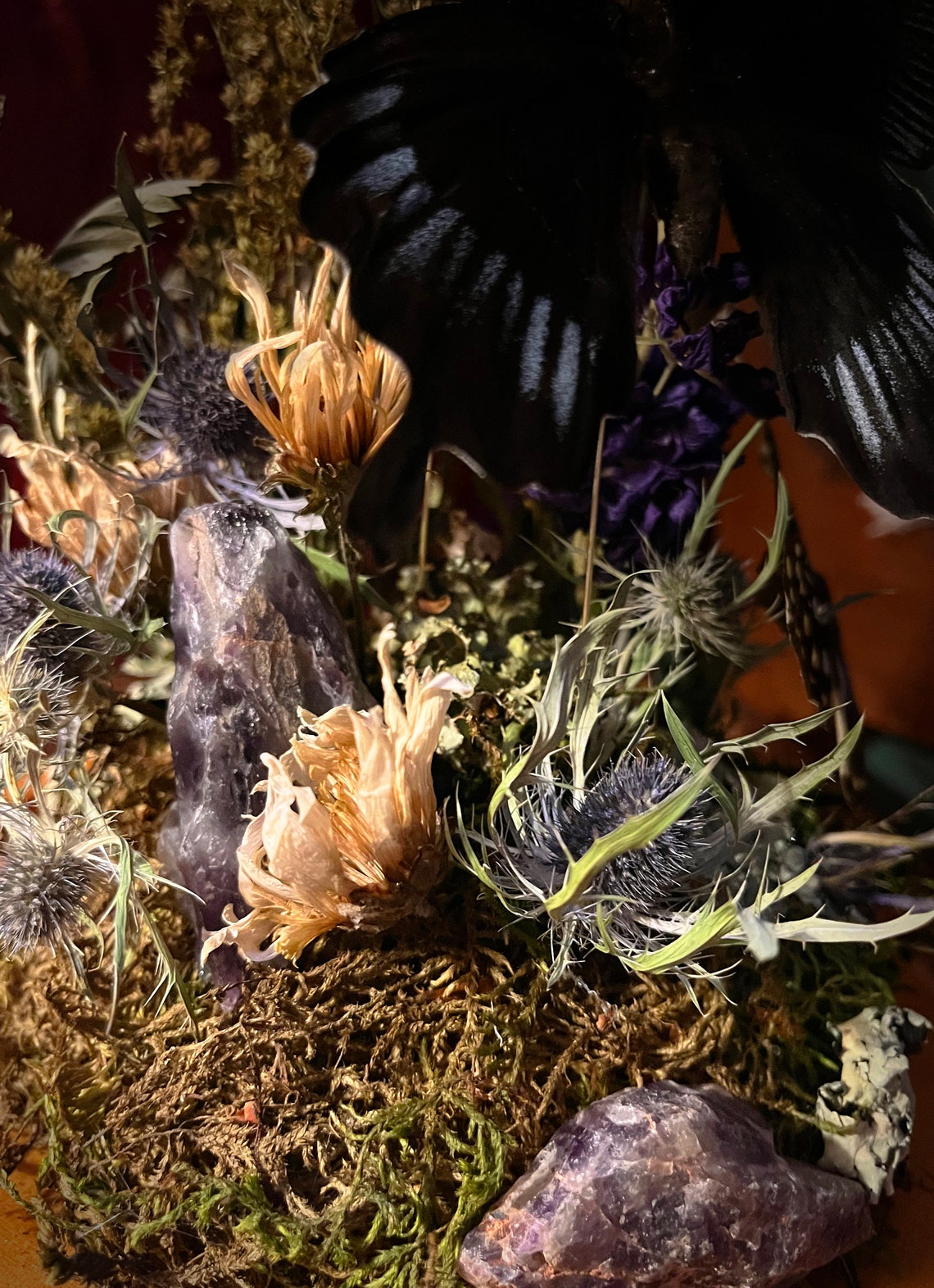 Extra Large Butterfly Dome 3 Black Butterflies Real - Etsy