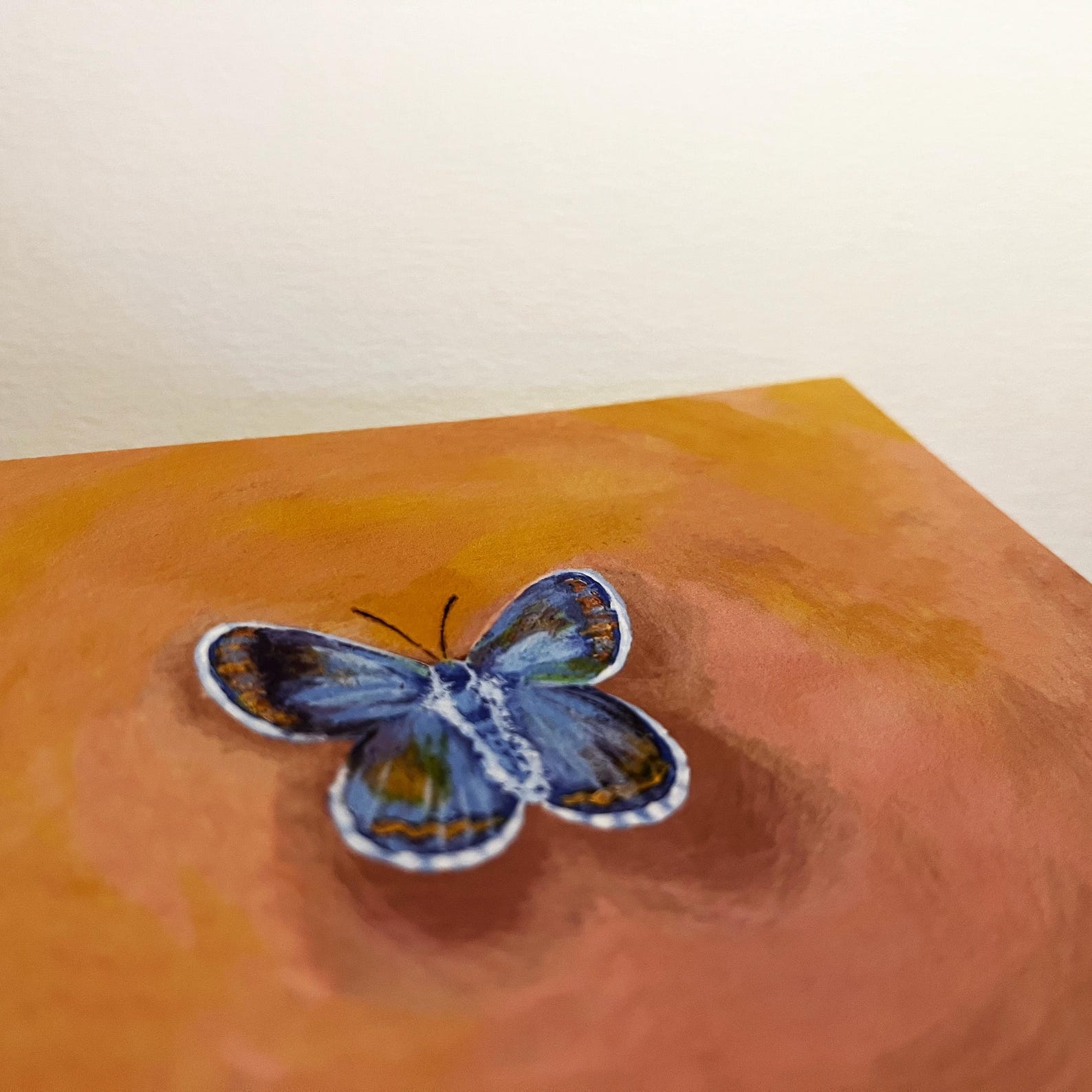 Karner Blue Butterfly Giclee Art Print - 4x6 Acrylic Painting Specimen ...