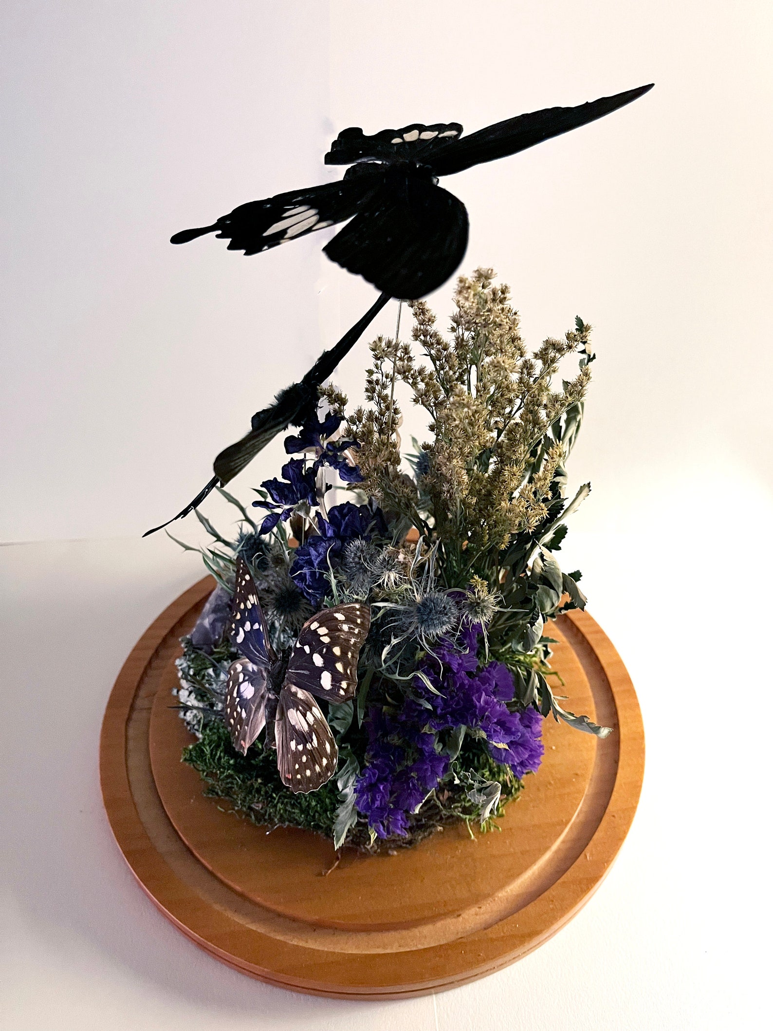 Extra Large Butterfly Dome 3 Black Butterflies Real - Etsy