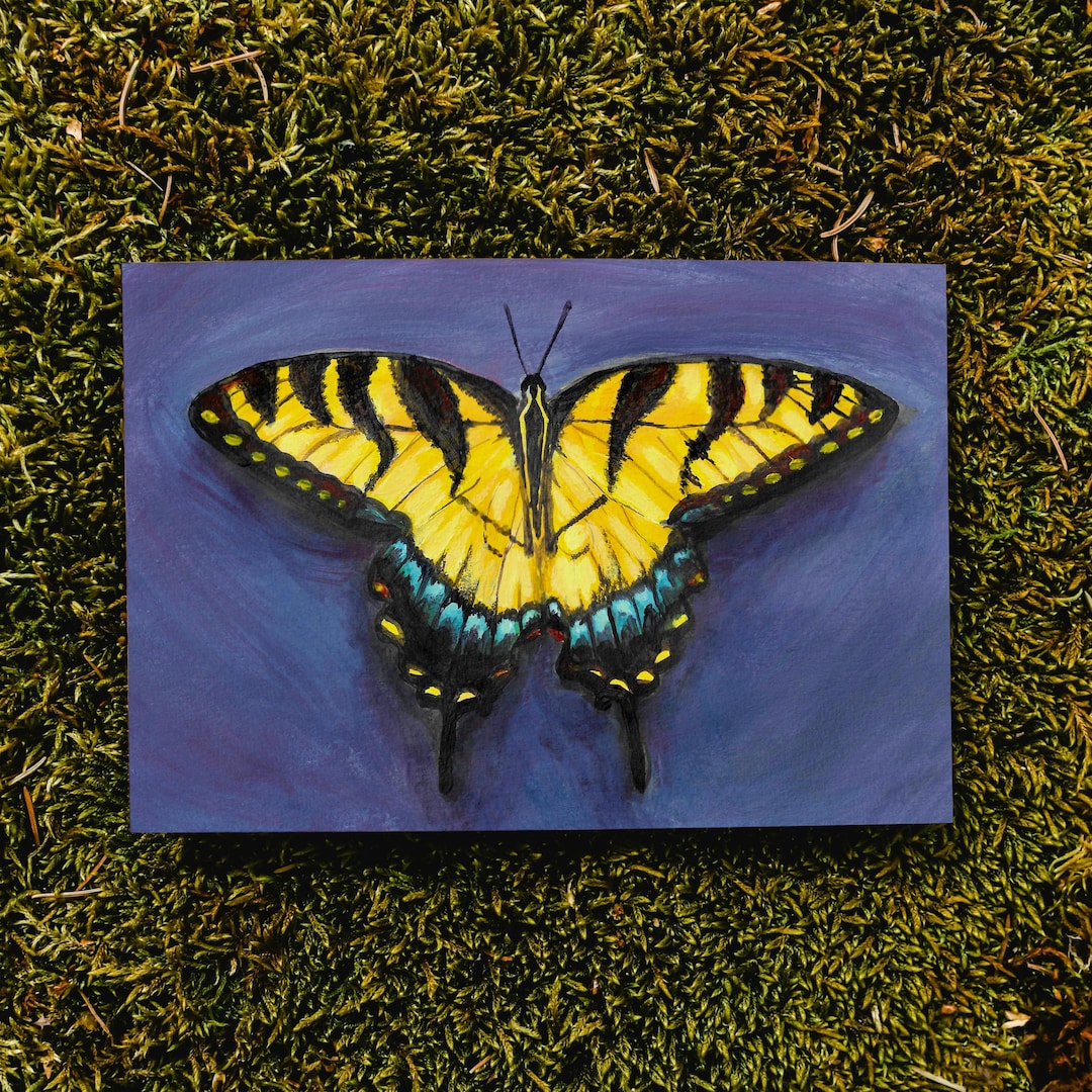 Eastern Tiger Swallowtail Butterfly Giclee Art Print - 4x6 Acrylic ...