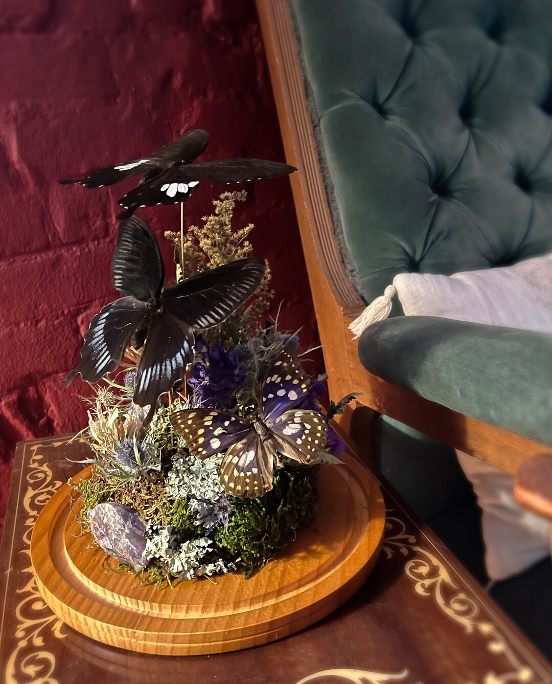 Extra Large Butterfly Dome - 3 Black Butterflies Real Preserved ...