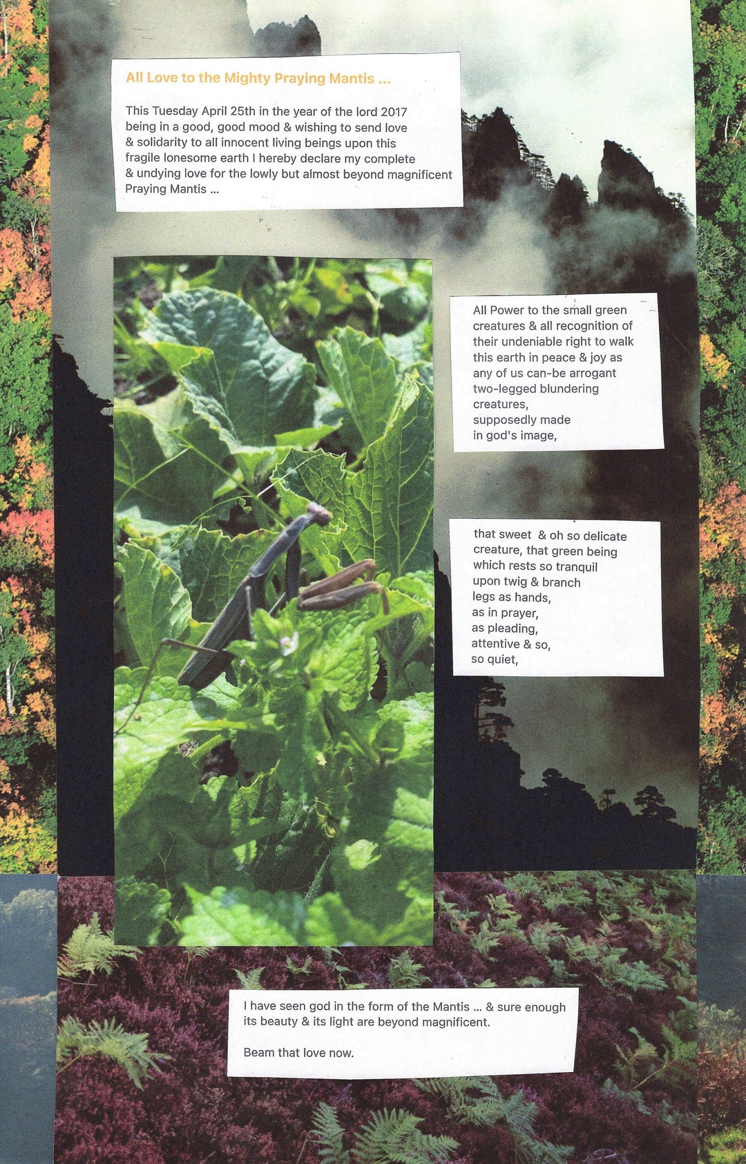 Praying Mantis ... Original Collage Artwork, Paper Reprint ... - Etsy