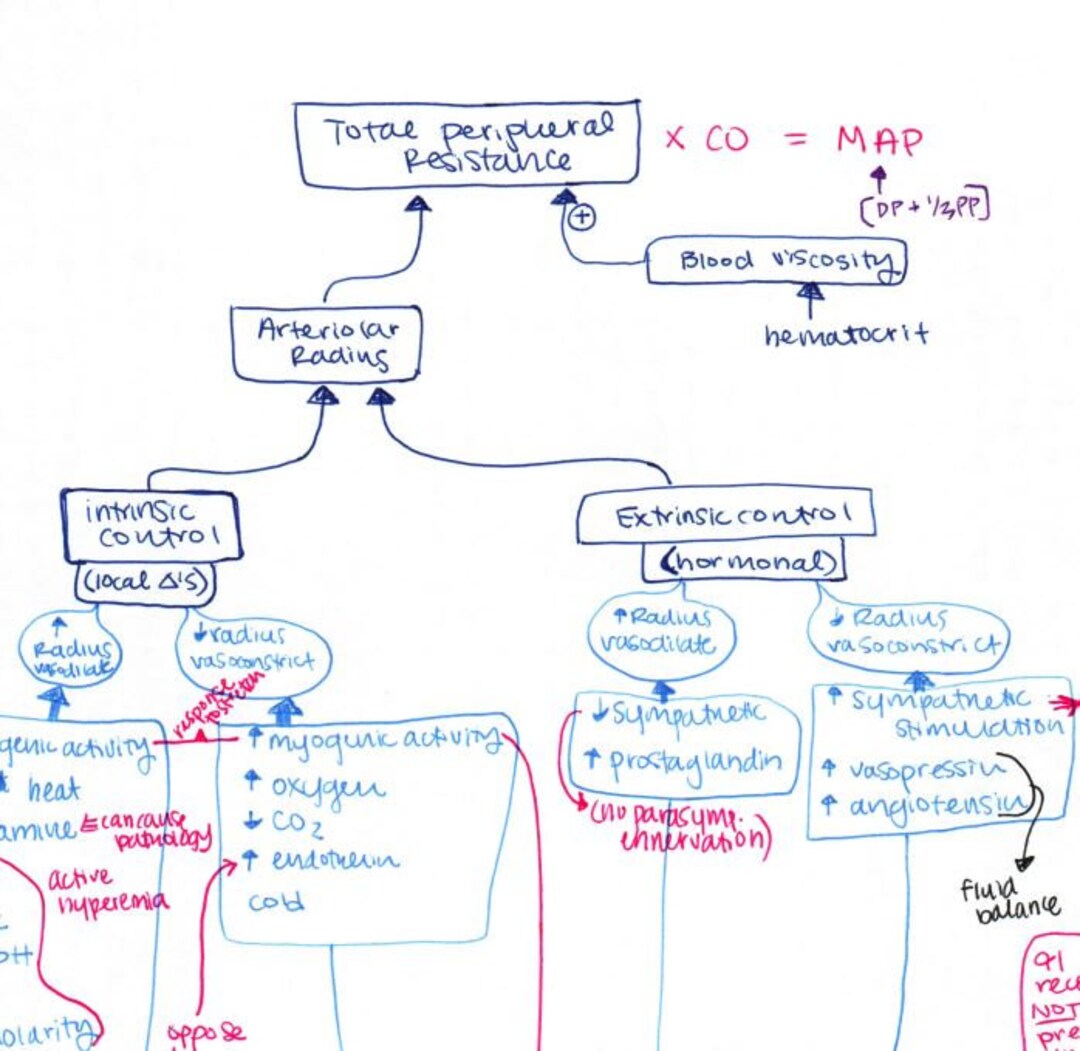 Cardiac Total Peripheral Resistance Feedback and Control Flow Chart 1 ...