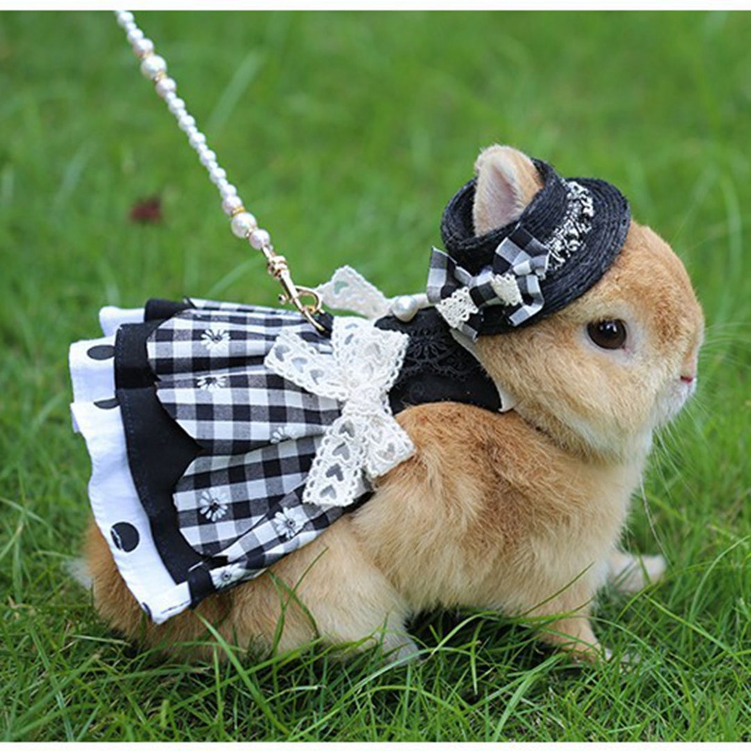 Pet Wedding Dress,custom Rabbit Princess Dress,rabbit Dress/harness ...