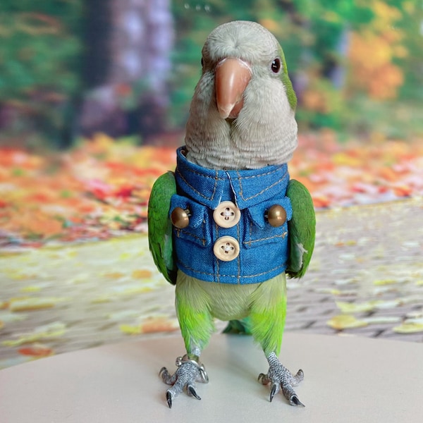 Bird Flight Suit - Etsy