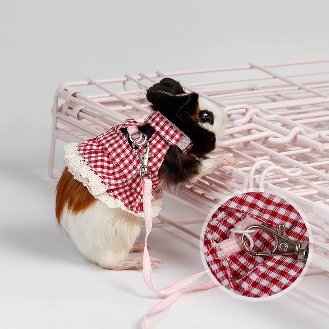 Small Pets Harness,chinchilla, Ferret, Guinea Pig Leash,rat Leash,mice ...