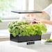 6 Pod Smart Planter - Etsy