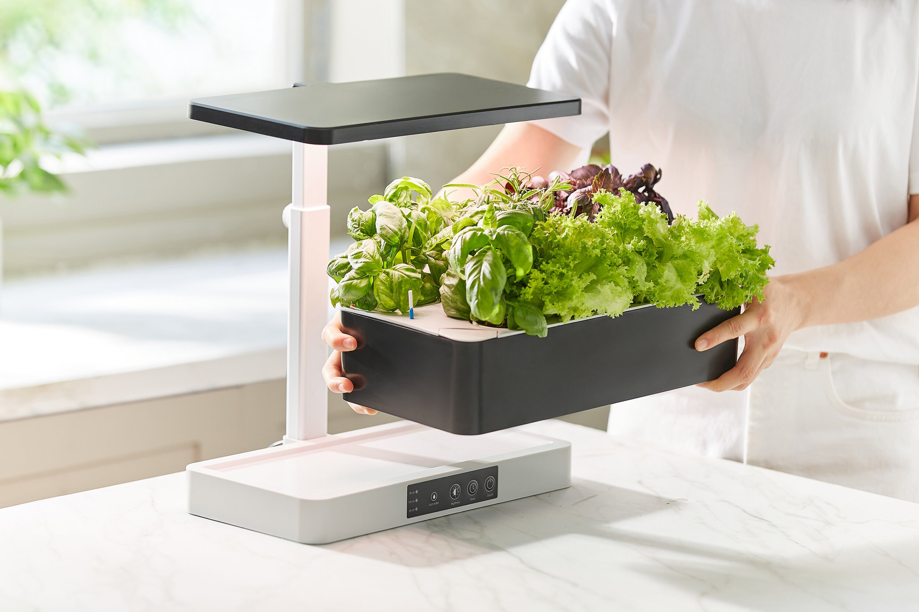 6 Pod Smart Planter - Etsy