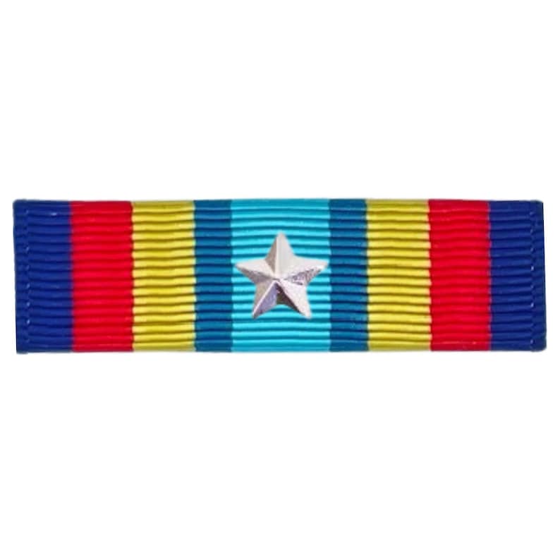 Navy and Marine Corps Sea Service Deployment Ribbon - Etsy