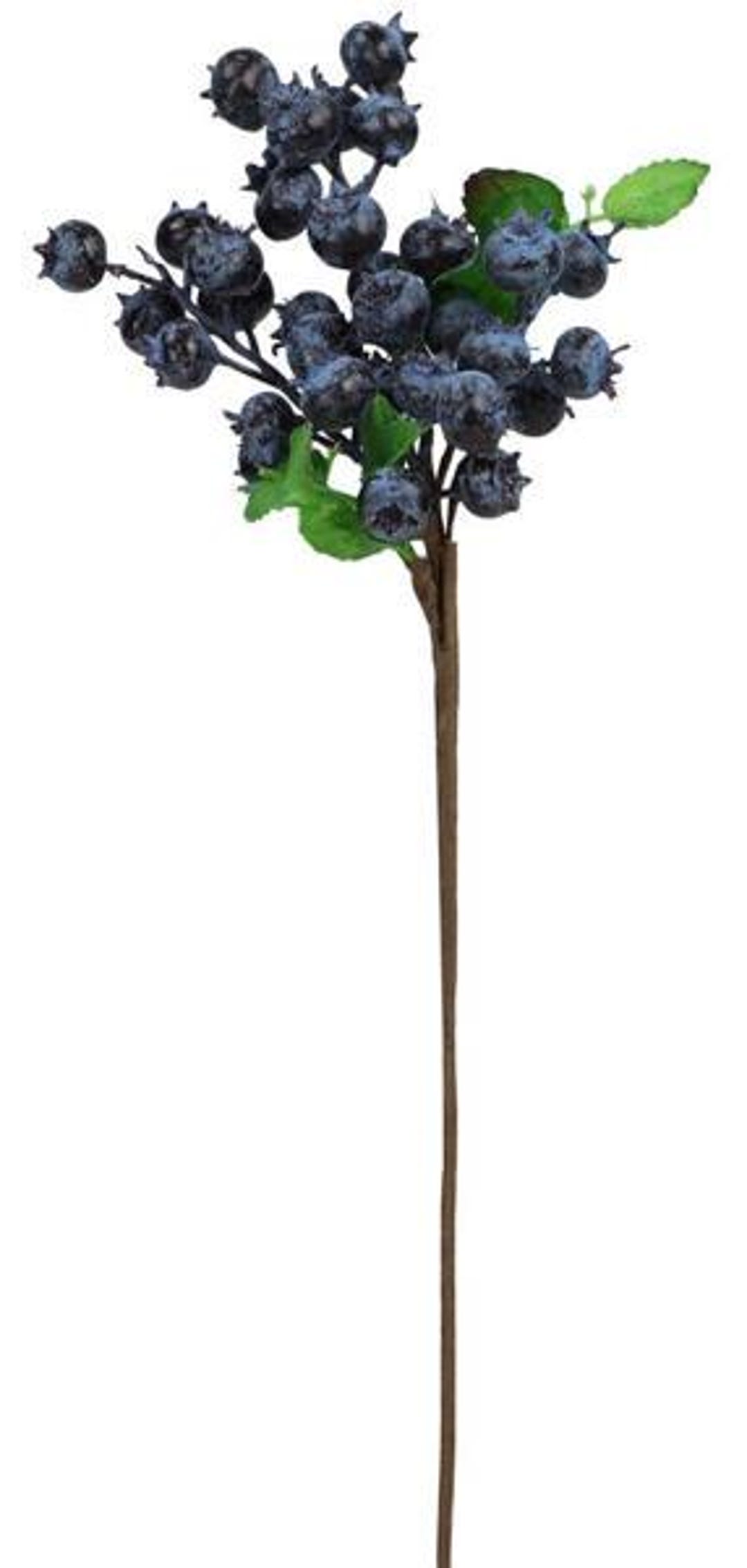 Blue Blueberry Pick 14 Inch L - Etsy