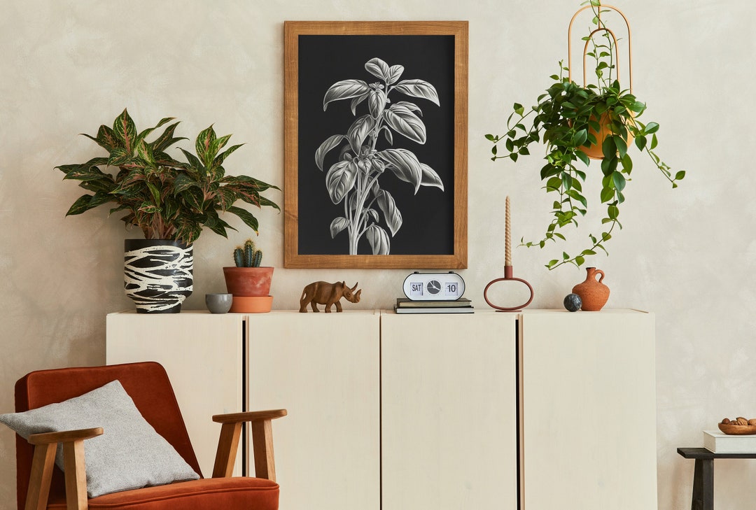 Basil Illustration Pencil Drawing Print Botanical Poster | Print at ...