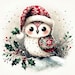 Merry Owl in a Santa Hat Clipart | Set of 10 | High Quality 300 DPI ...