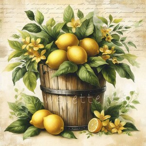 Floral Bucket of Lemons Clipart | Set of 10 | High Quality 300 DPI ...