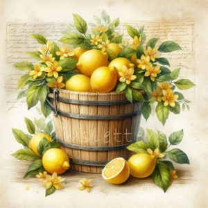 Floral Bucket of Lemons Clipart | Set of 10 | High Quality 300 DPI ...