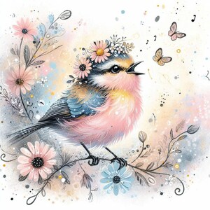 Rainbow Songbird Clipart | Set of 10 | High Quality 300 DPI Jpegs ...