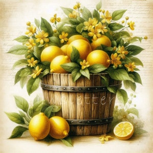 Floral Bucket of Lemons Clipart | Set of 10 | High Quality 300 DPI ...