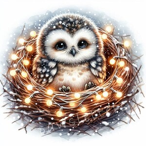 Christmas Owl Clipart 10 High Res Watercolor Jpgs Cute Winter Animals ...
