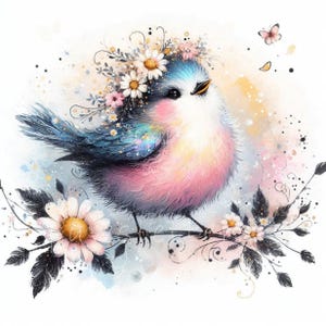 Rainbow Songbird Clipart | Set of 10 | High Quality 300 DPI Jpegs ...