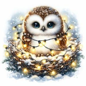 Christmas Owl Clipart 10 High Res Watercolor Jpgs Cute Winter Animals ...