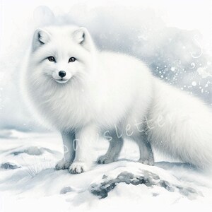 Wintery Arctic Fox Clipart 10 High Res Watercolor Jpgs for Junk Journal ...