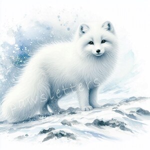 Wintery Arctic Fox Clipart 10 High Res Watercolor Jpgs for Junk Journal ...