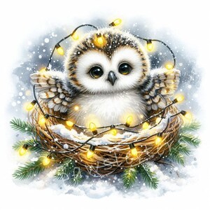 Christmas Owl Clipart 10 High Res Watercolor Jpgs Cute Winter Animals ...