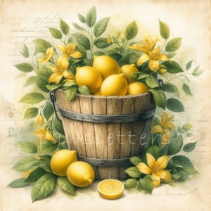 Floral Bucket of Lemons Clipart | Set of 10 | High Quality 300 DPI ...