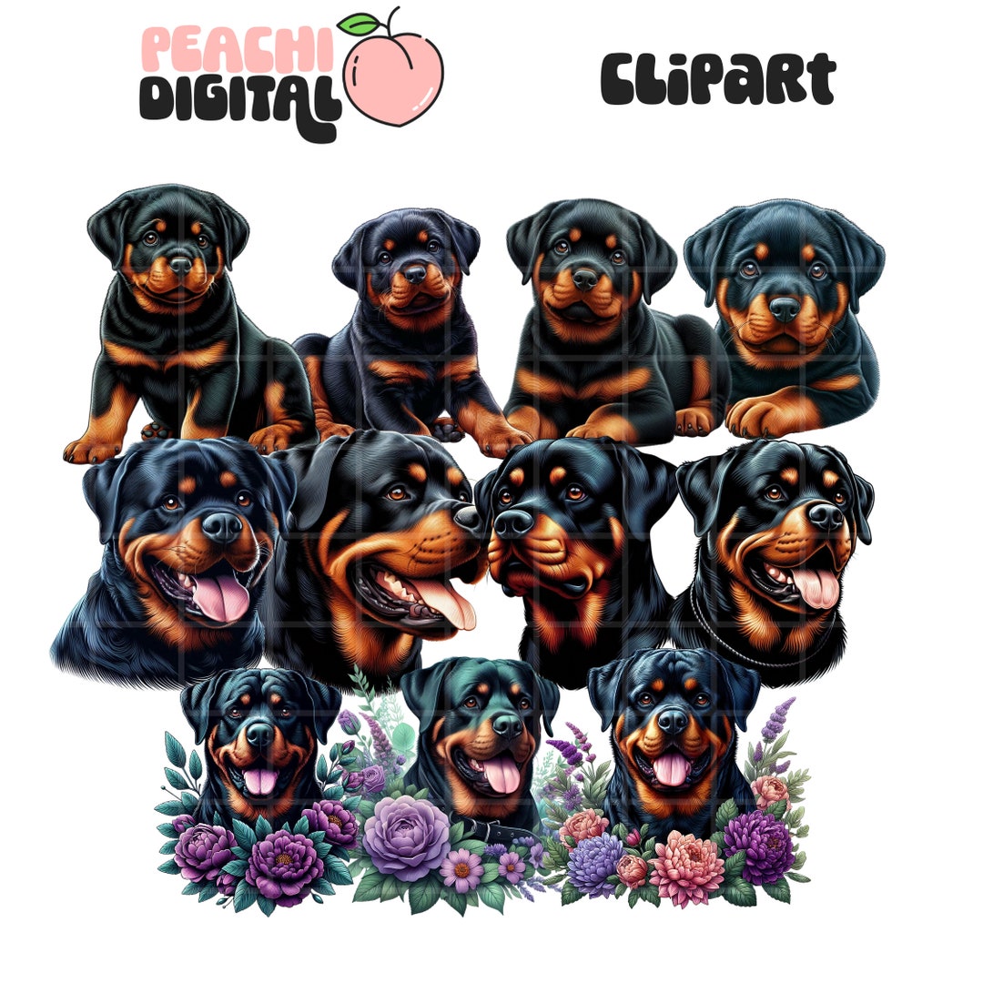 Rottweiler Dog Clipart Rotti Digital Art Clipart Stickers - Etsy