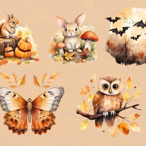 Autumn Animals, Fall PNG, Woodland Animal Clip Art, Adorable Fall PNG ...