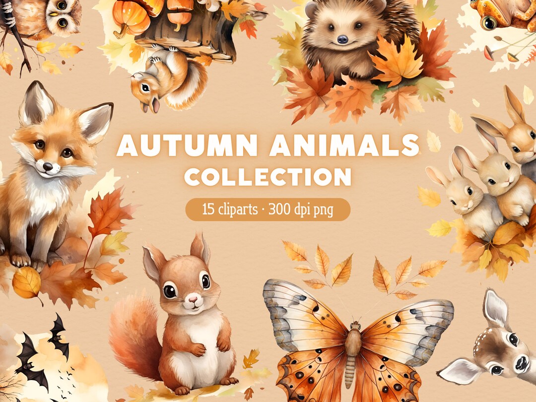 Autumn Animals, Fall PNG, Woodland Animal Clip Art, Adorable Fall PNG ...