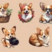 Corgi PNG, Kawaii Corgis Clipart, Dog Clip Art, Cute Animal PNG, Bundle ...