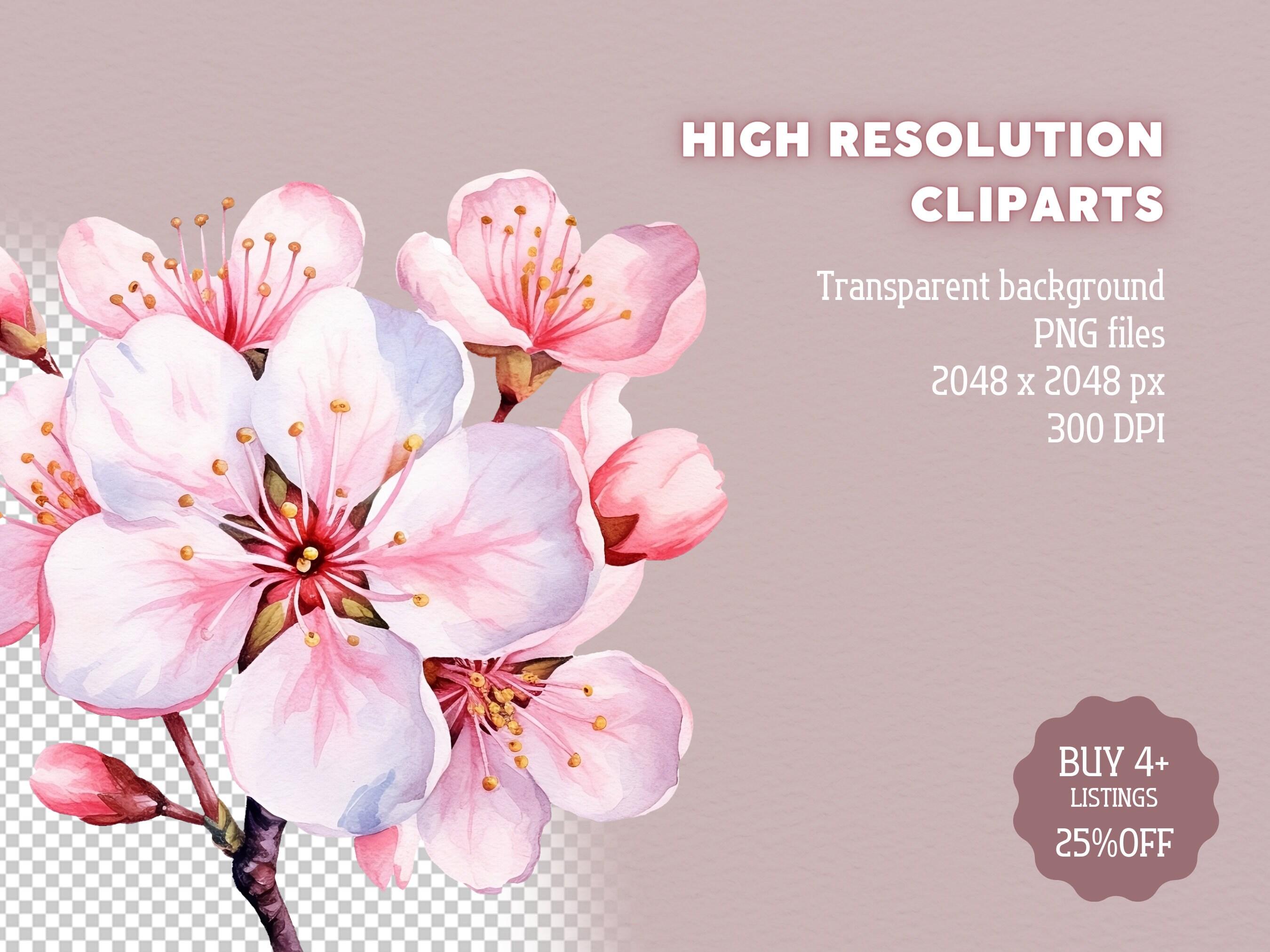 Cherry Blossoms PNG, Flower Clipart, Spring Watercolor Clip Art, Bundle ...