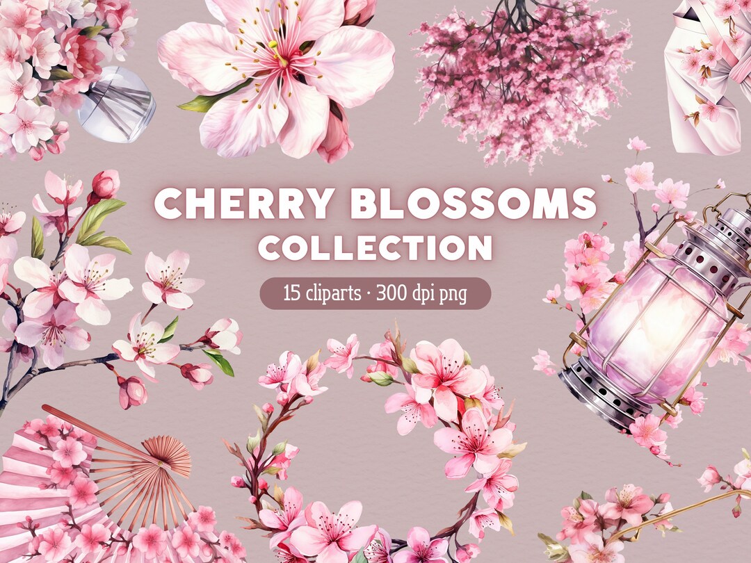 Cherry Blossoms PNG, Flower Clipart, Spring Watercolor Clip Art, Bundle ...