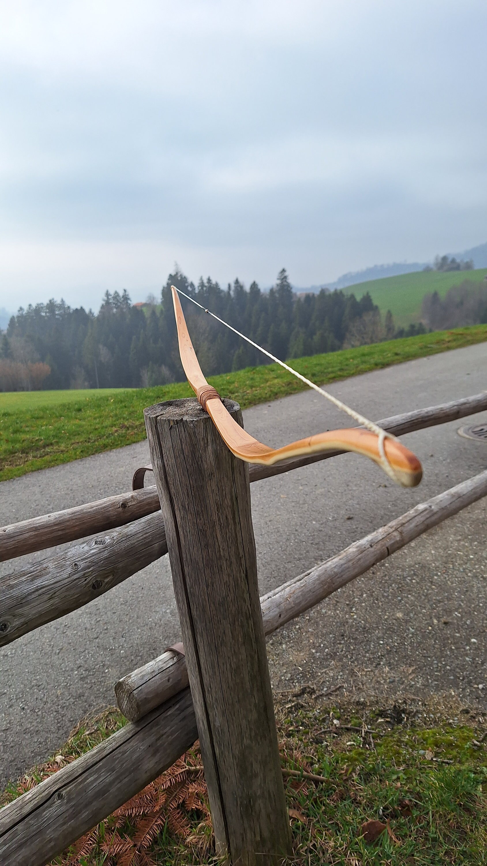 Bow of Bodman Swiss Yew 40 28 - Etsy