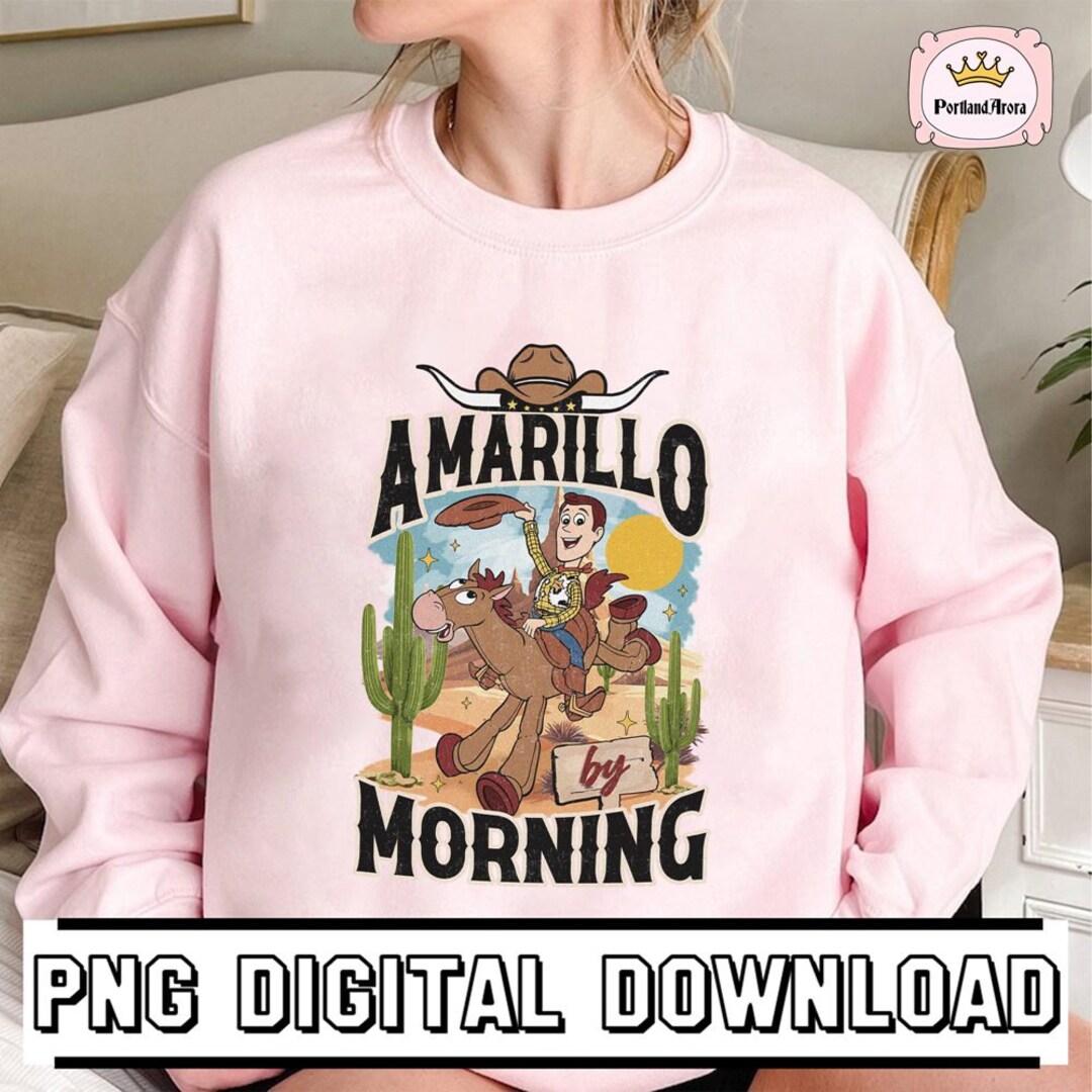 Bullseye Woody Toy Story Png Toy Story Cowboy Png Woody Toy Story ...