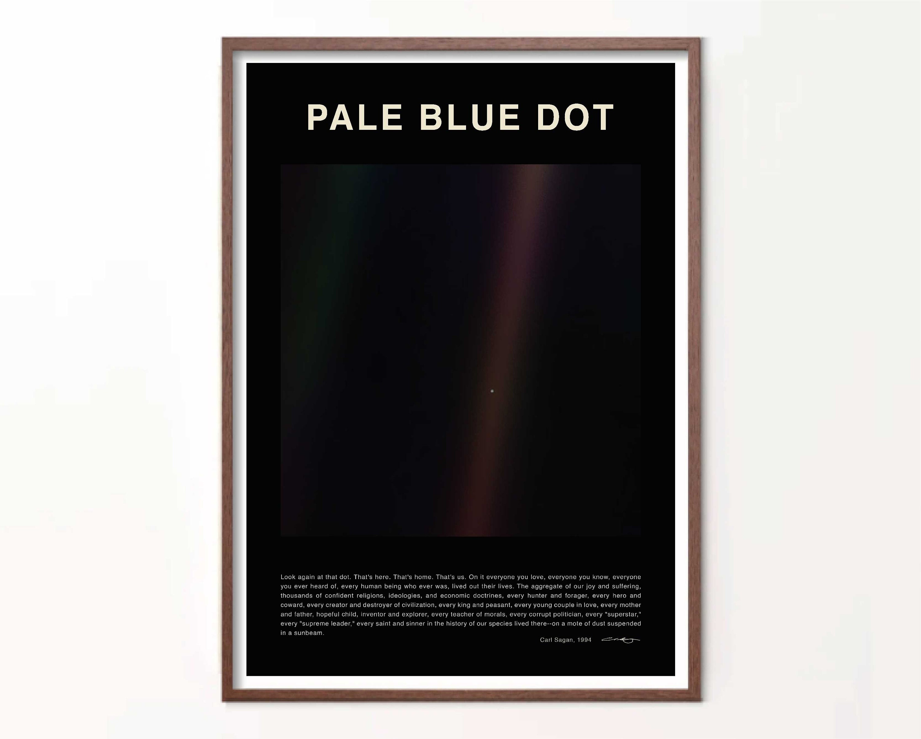 A Pale Blue Dot Poster Poster Pale Bleu Dot Carl Sagan - Etsy