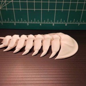 Trilobite Articulated Fidget Toy -biology Science Paleontology- - Etsy
