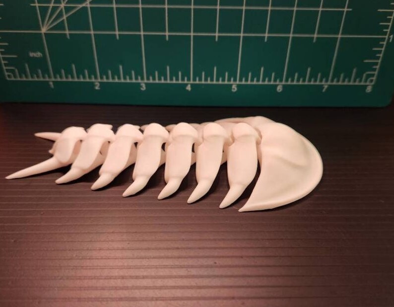 Trilobite Articulated Fidget Toy biology Science - Etsy