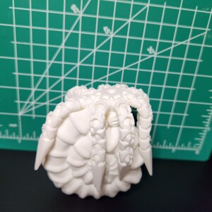 Ammonite Articulated Fidget Toy -biology Science Paleontology- - Etsy