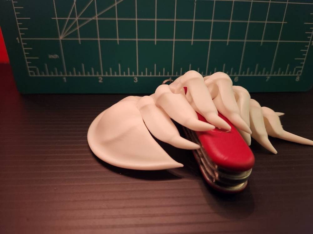 Trilobite Articulated Fidget Toy biology Science - Etsy