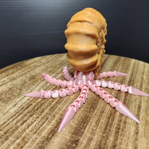 Ammonite Articulated Fidget Toy -biology Science Paleontology- - Etsy