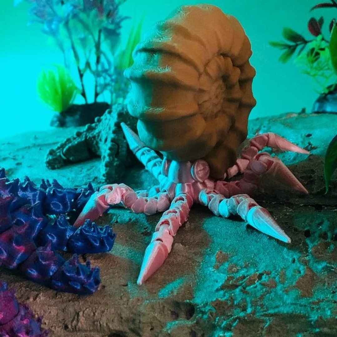 Ammonite Articulated Fidget Toy -biology Science Paleontology- - Etsy