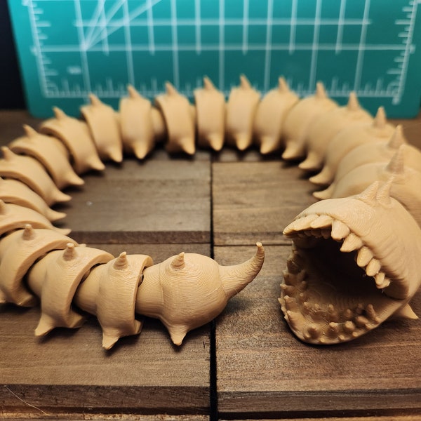 Fidget Worm Toy - Etsy