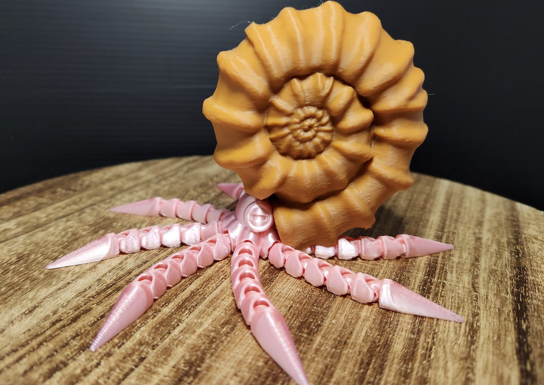 Ammonite Articulated Fidget Toy biology Science Paleontology - Etsy