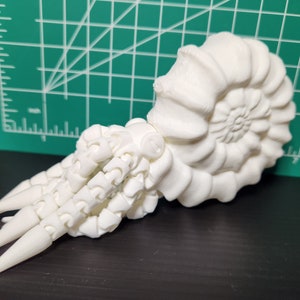 Ammonite Articulated Fidget Toy -biology Science Paleontology- - Etsy