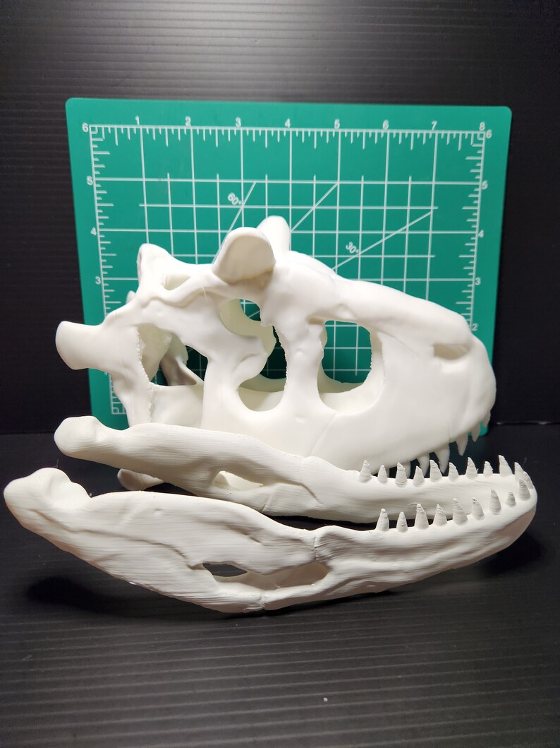 Carnotaurus Skull - Etsy